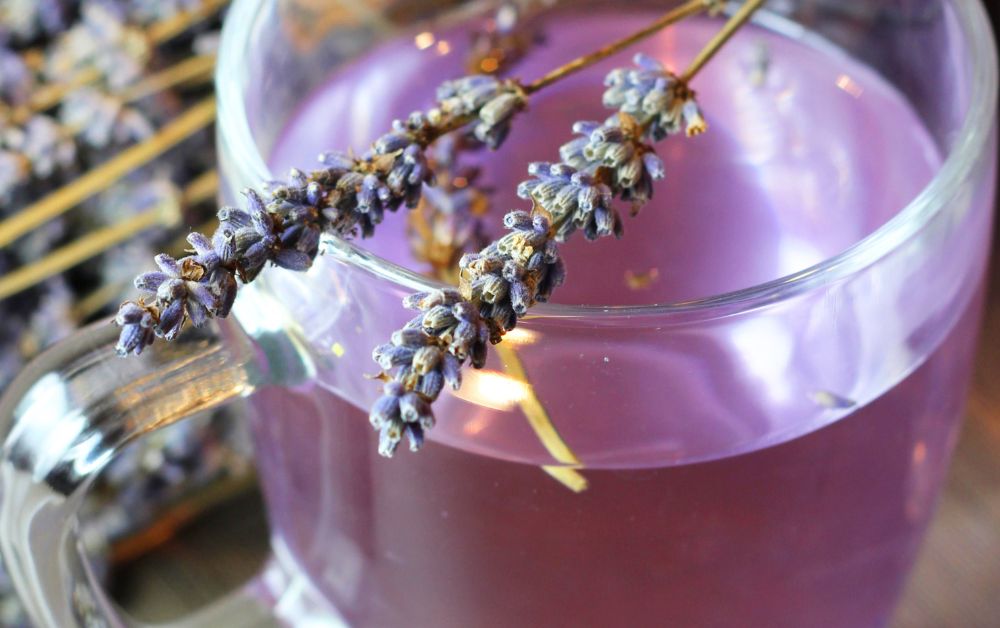 Lavender Sleep Elixir Recipe